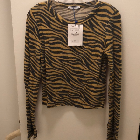 Zara | Tops | Shrunken Tiger Print Tee | Poshmark